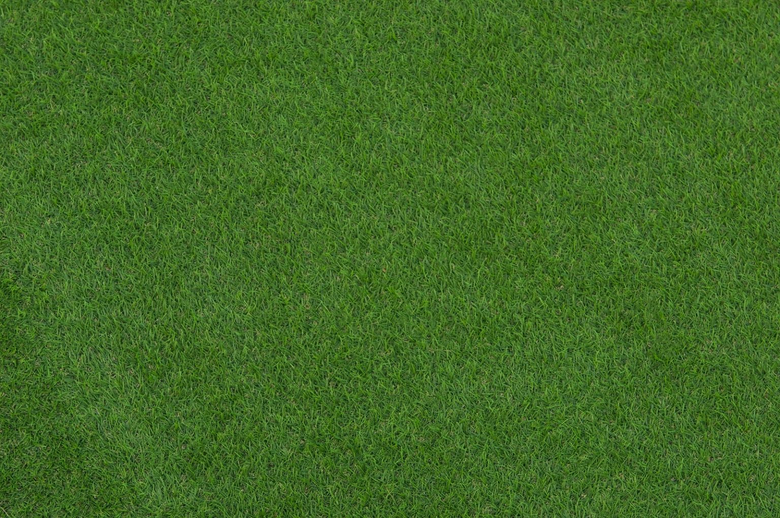 Artificial Grass vs Sod: Which One is Best for You? | LawnPop