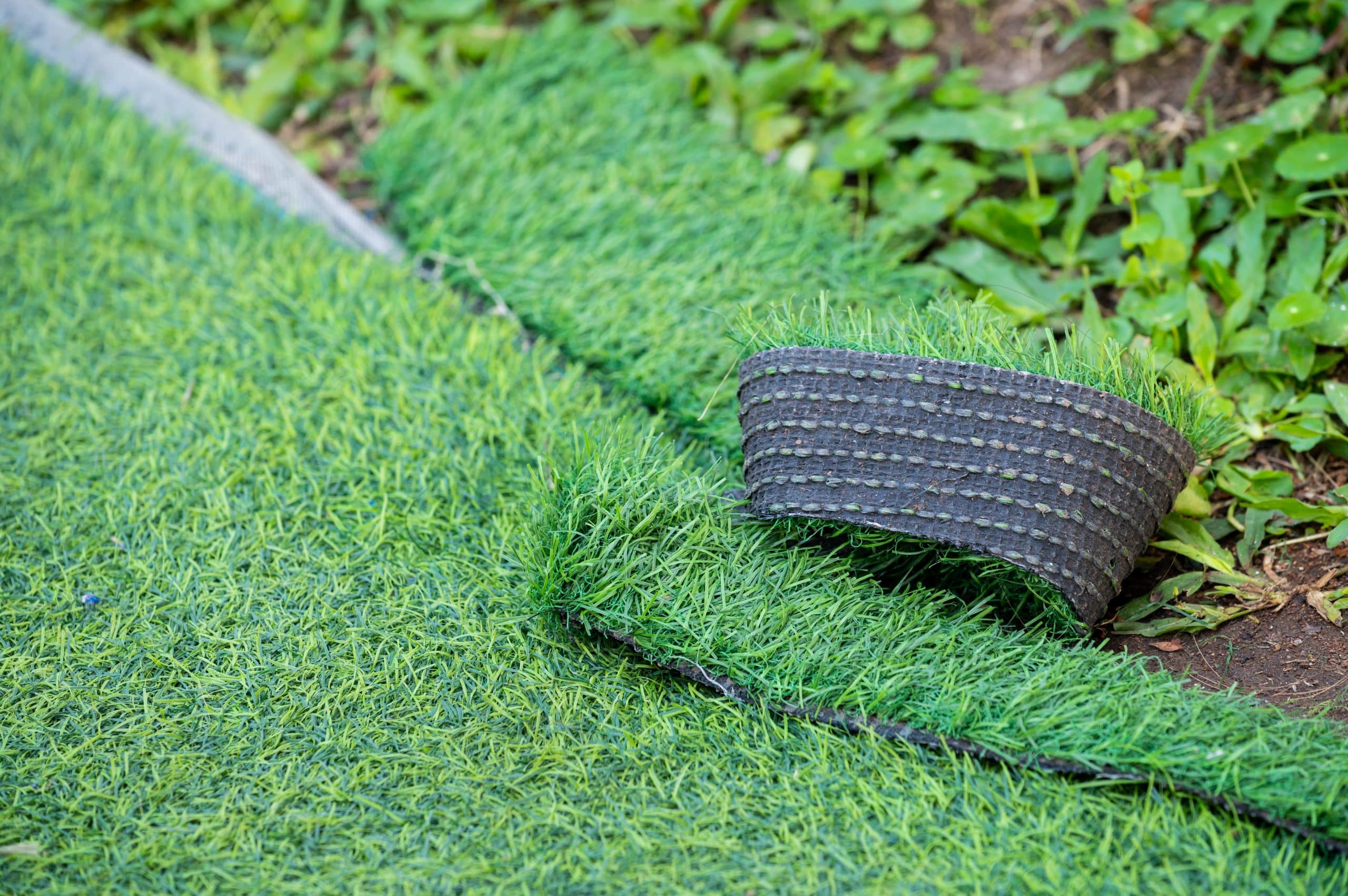 Importance of Turf Maintenance | Lawnpop